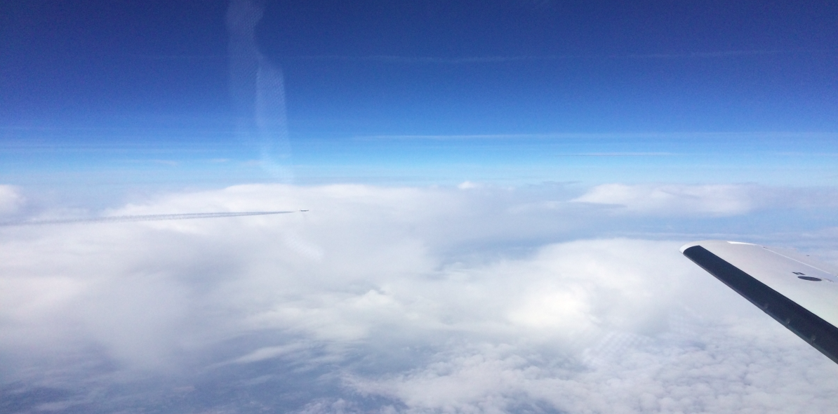 Do you need help with the ferry flight of your aircraft?